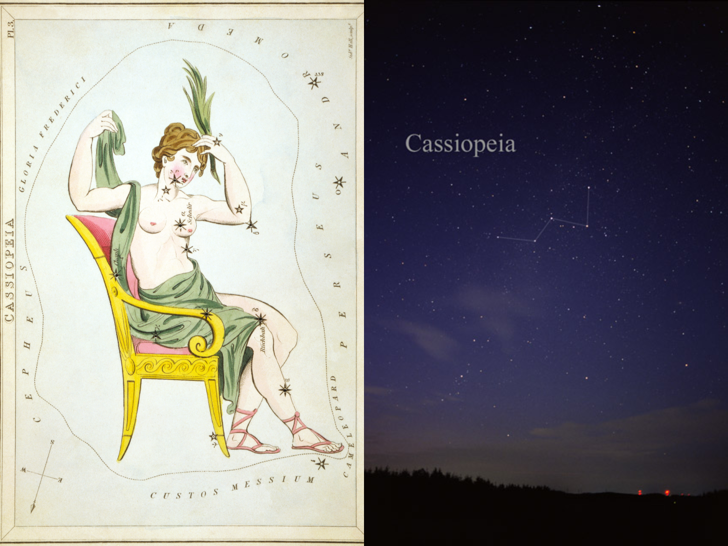 3 Easy Star Constellations for Beginners to spot throughout the whole ...