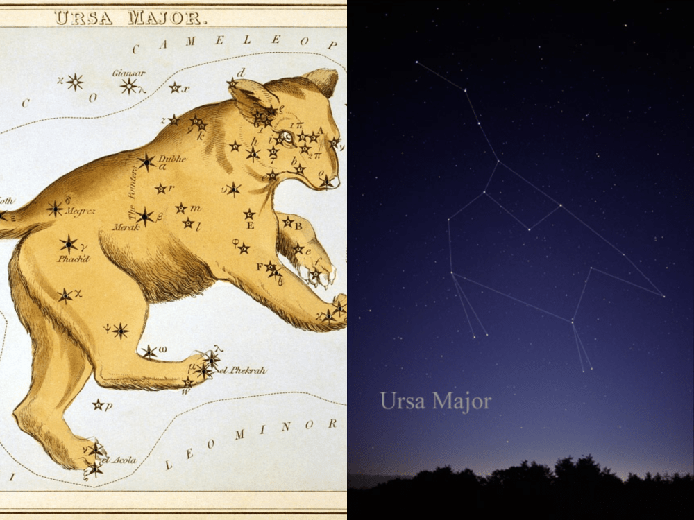 3 Easy Star Constellations for Beginners to spot throughout the whole ...